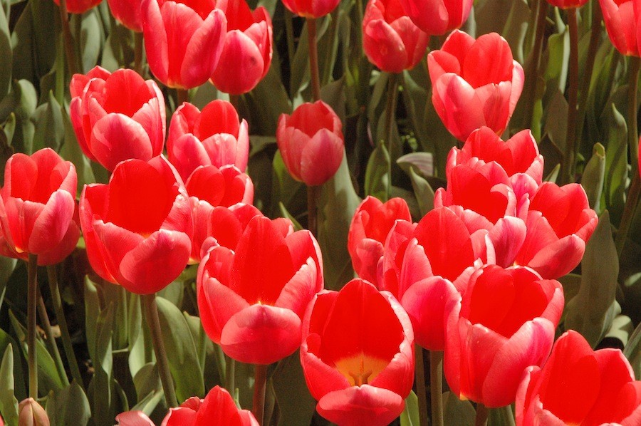 Istanbul Color-coded: Red | istanbul travelogue